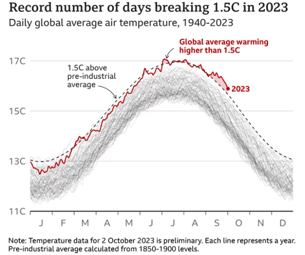The Power of AI, Not All Trees are Equal and Beer Under Threat - Carbon ...